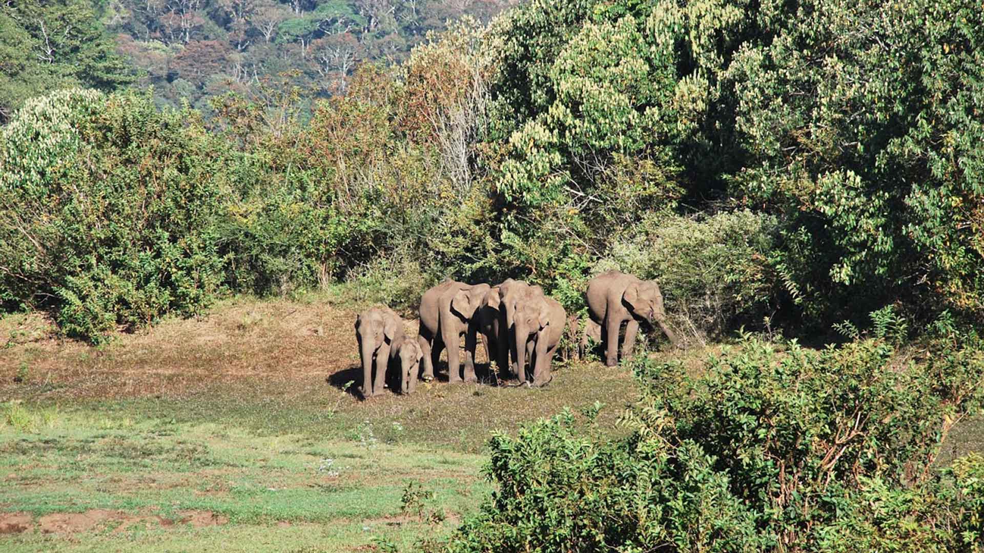 The best of South India